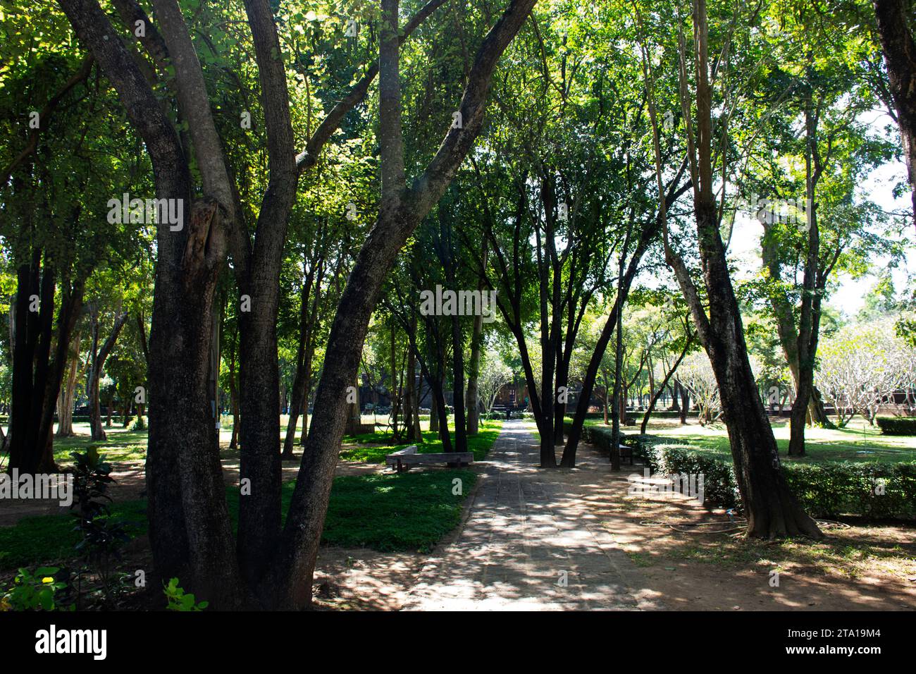 Building tower Muang Sing sandstone khmer castle and Hinduism temples ...