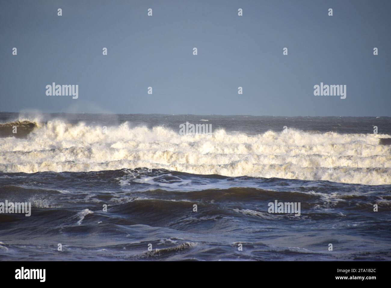Boggle hole fossils hi-res stock photography and images - Alamy