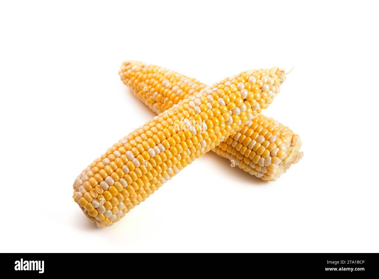 Two ears of ripe corn with soft shadow isolated on white background ...