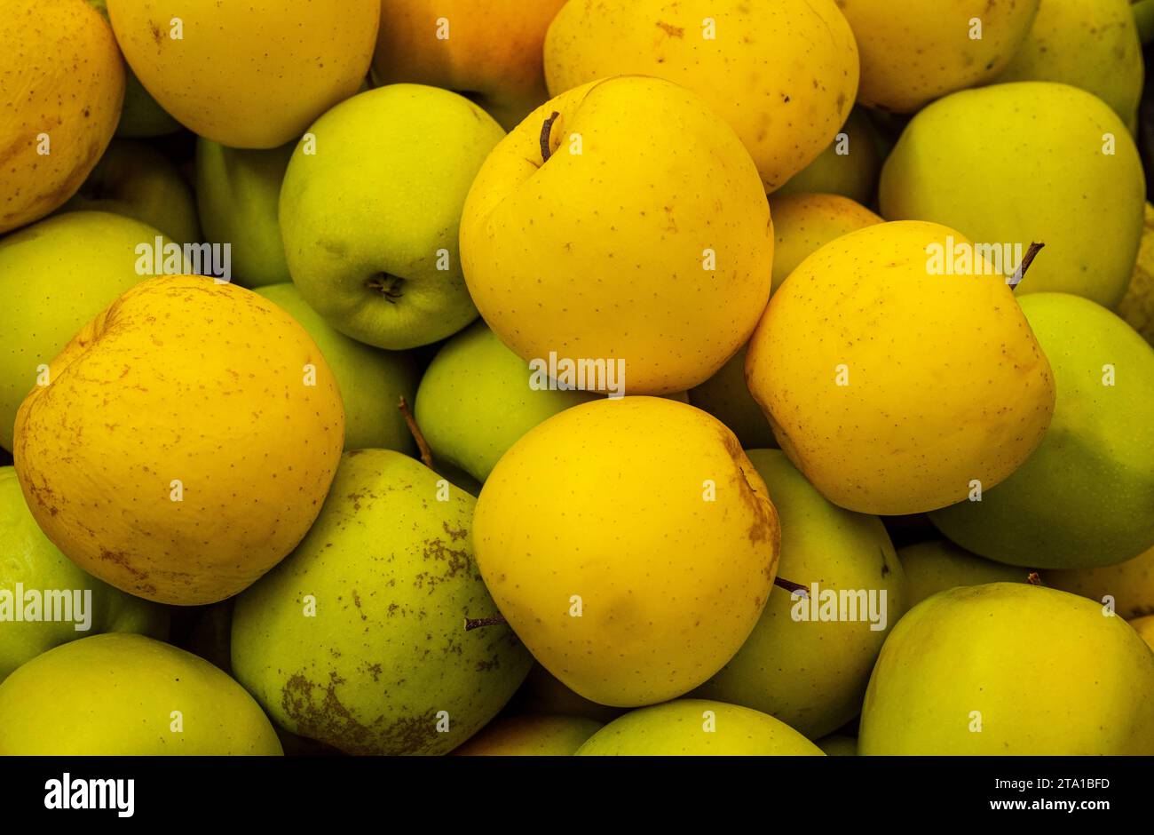 background of green and yellow apples in a fruit market. background of ...