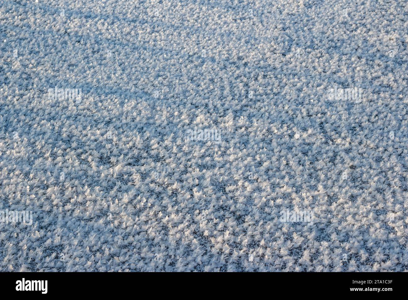 Winter background with large crystalline frost on ice Stock Photo - Alamy