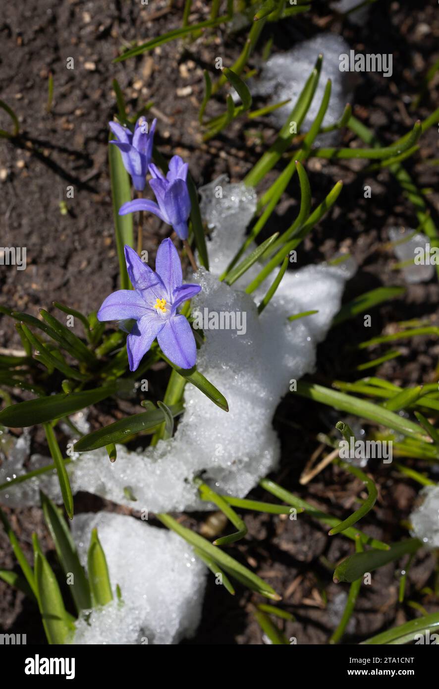 Melting to the sun hi-res stock photography and images - Alamy