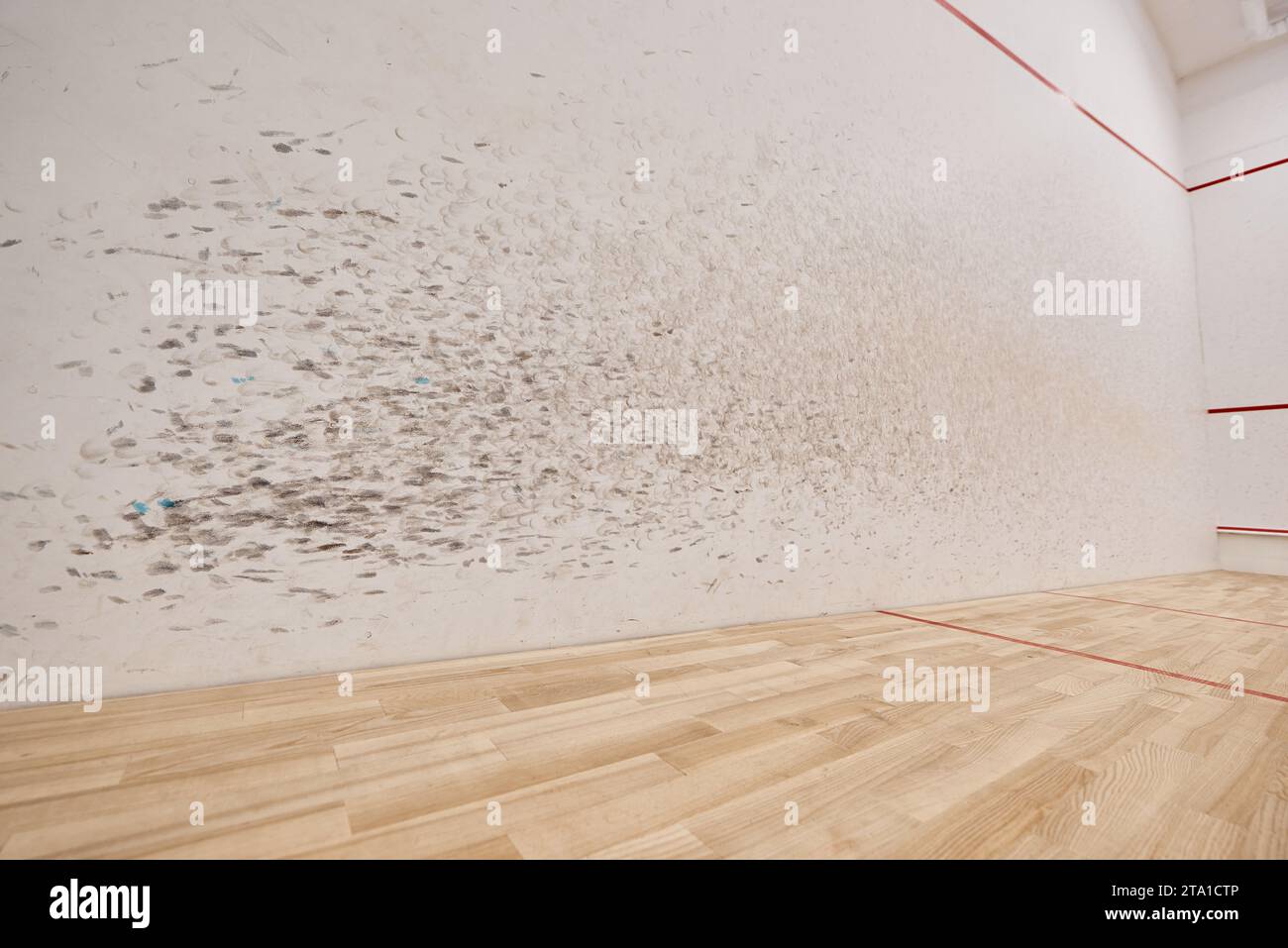 spacious and modern squash court with white walls, motivation and ...