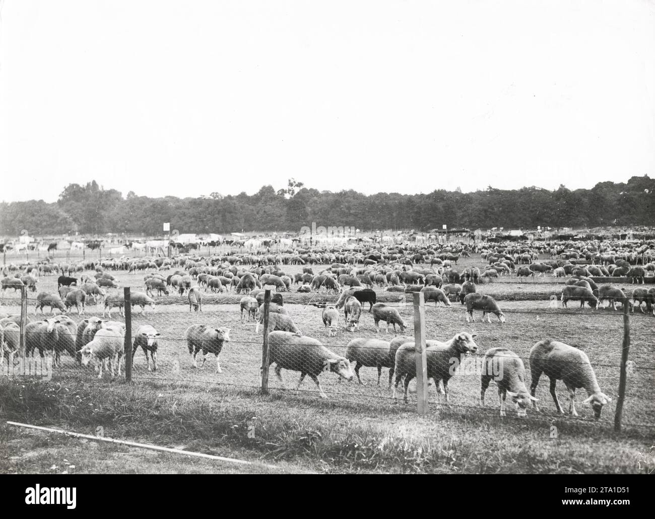 World war one wwi food hi-res stock photography and images - Alamy