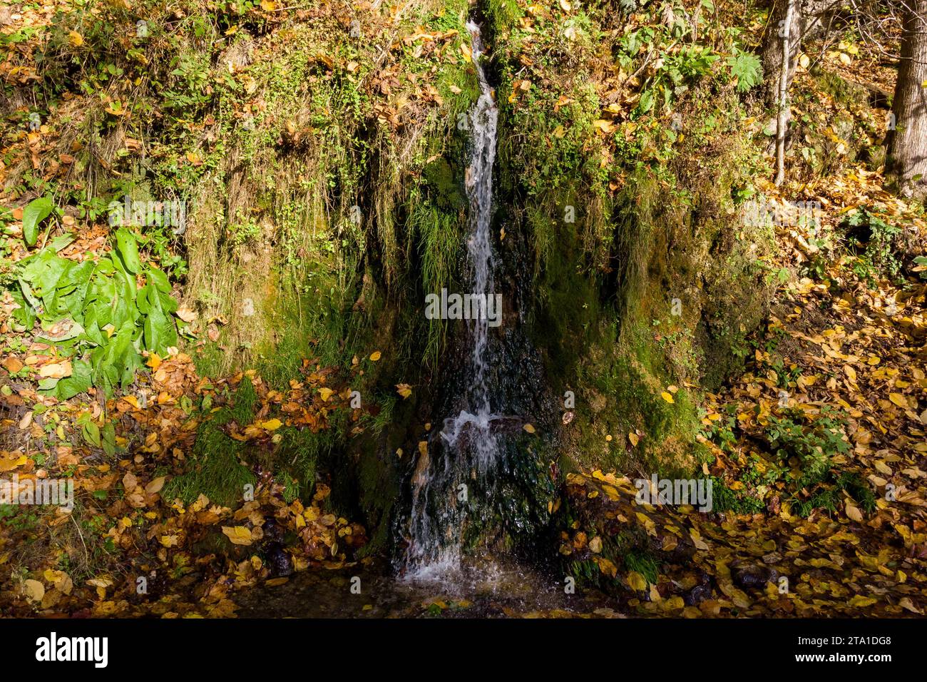 Natural attraction Raduzhnyy Waterfall near the Nara River, Russia ...