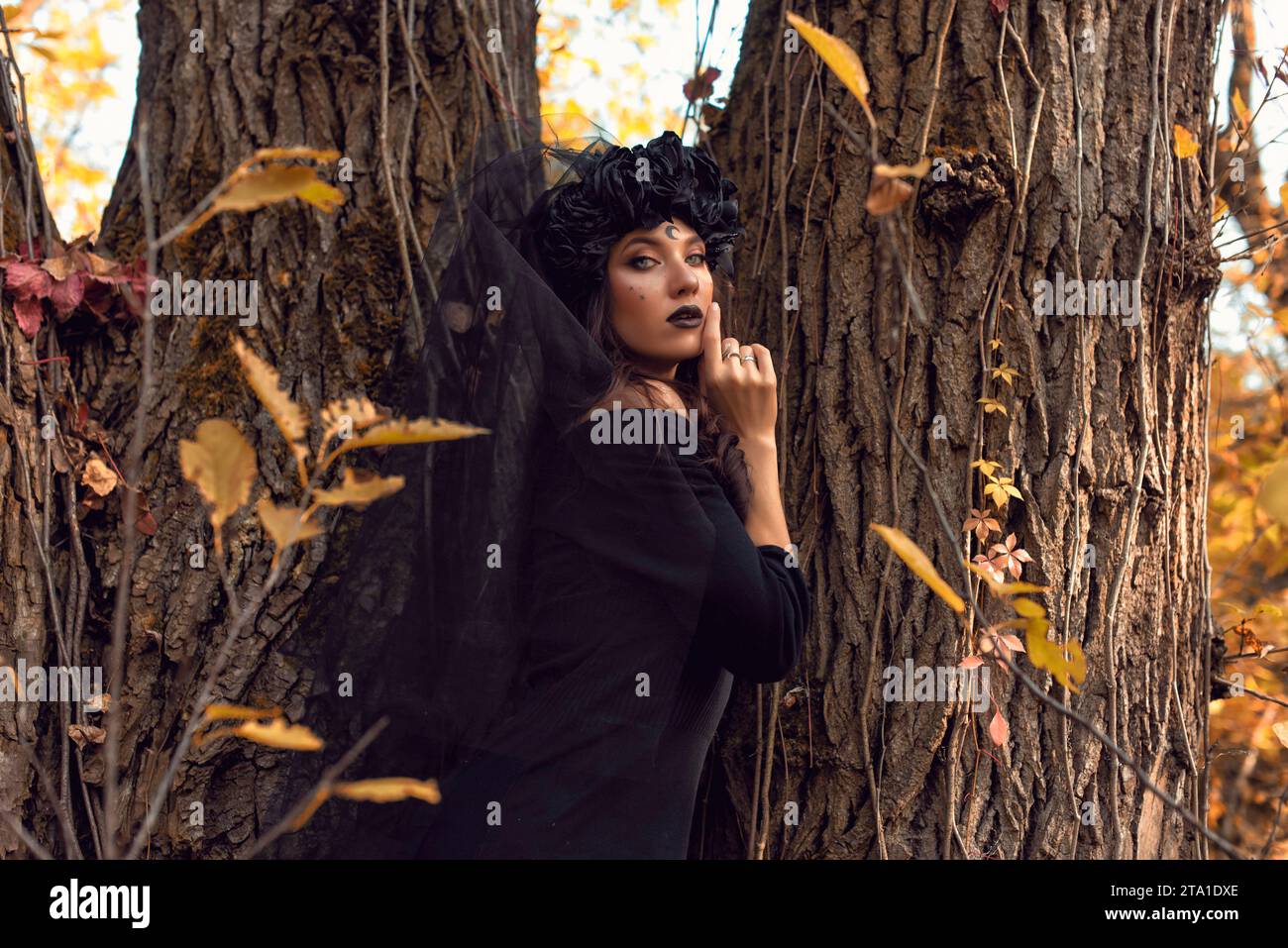 Black bride hi-res stock photography and images - Alamy
