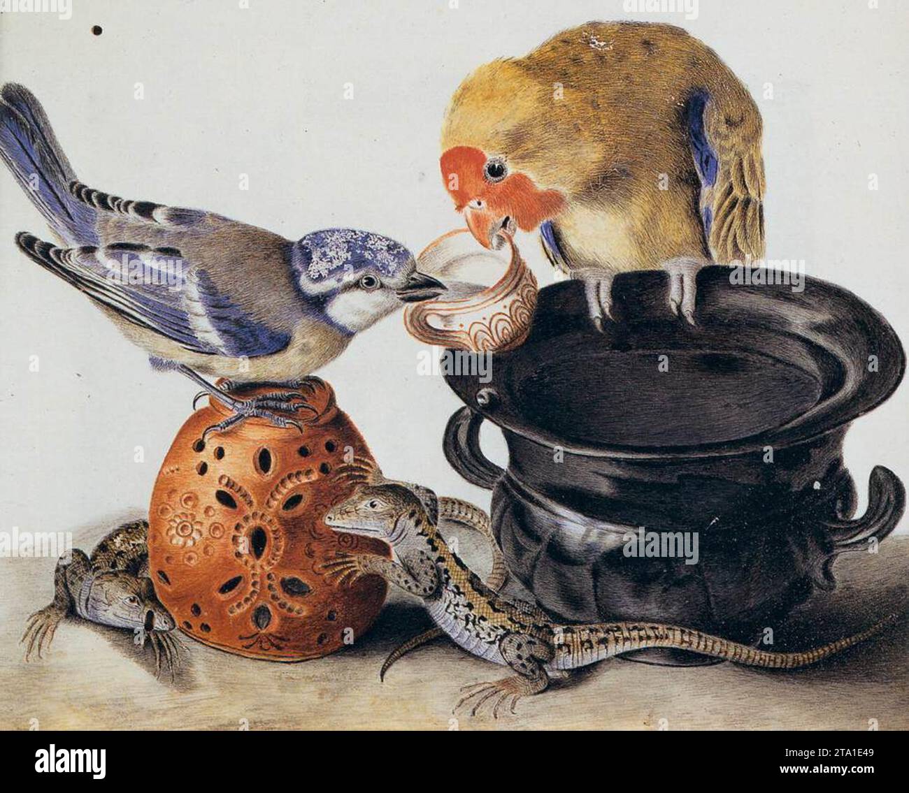 Parrot, Blue Tit, Two Lizards, and Vases 1706 by Luisa Vitelli Stock ...