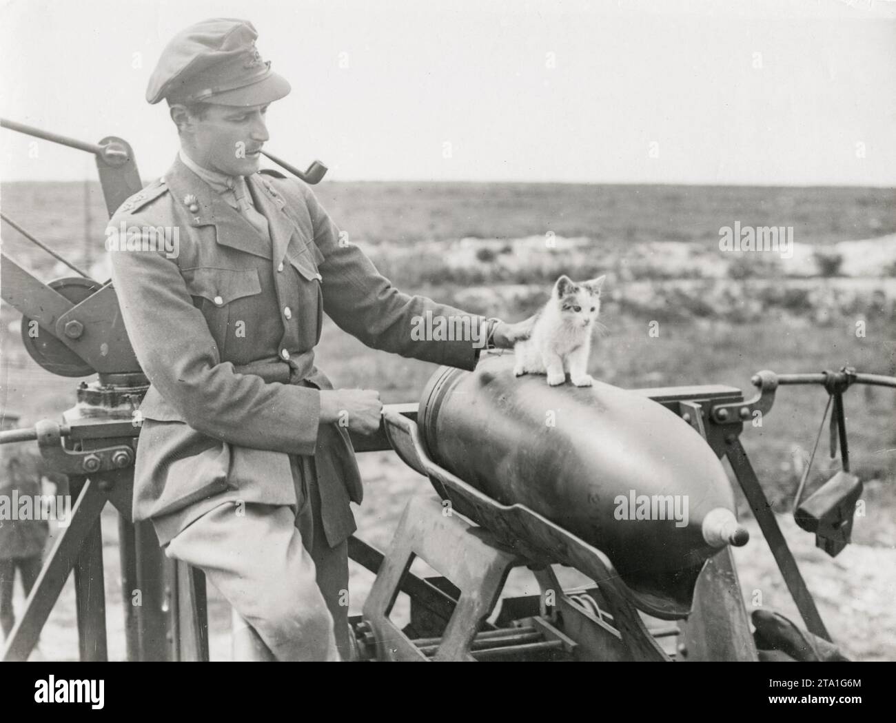 WW1 World War I - A kitten sits on top of a large shell with officer ...