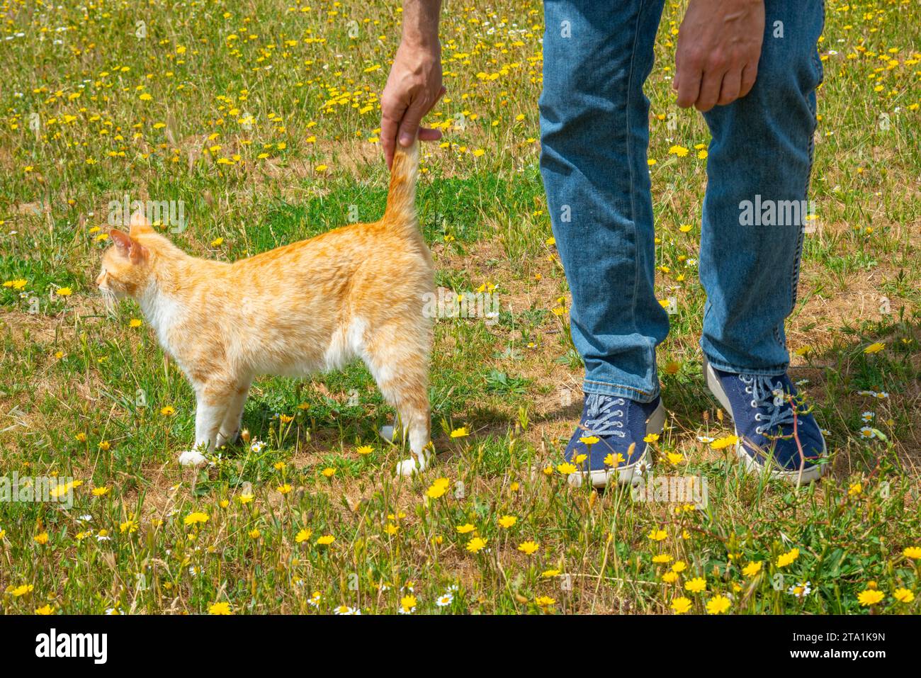 Hombre hombre blanco hi-res stock photography and images - Alamy