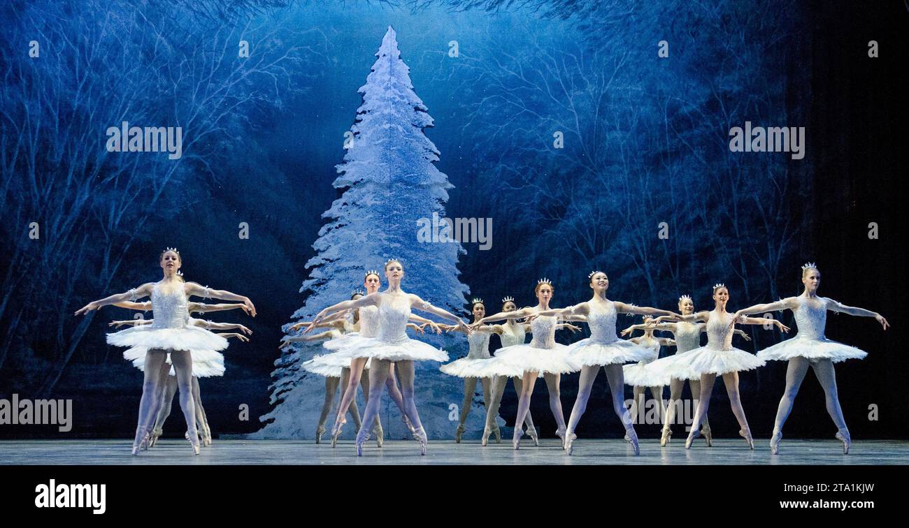 the corps de ballet in THE NUTCRACKER presented by English National ...