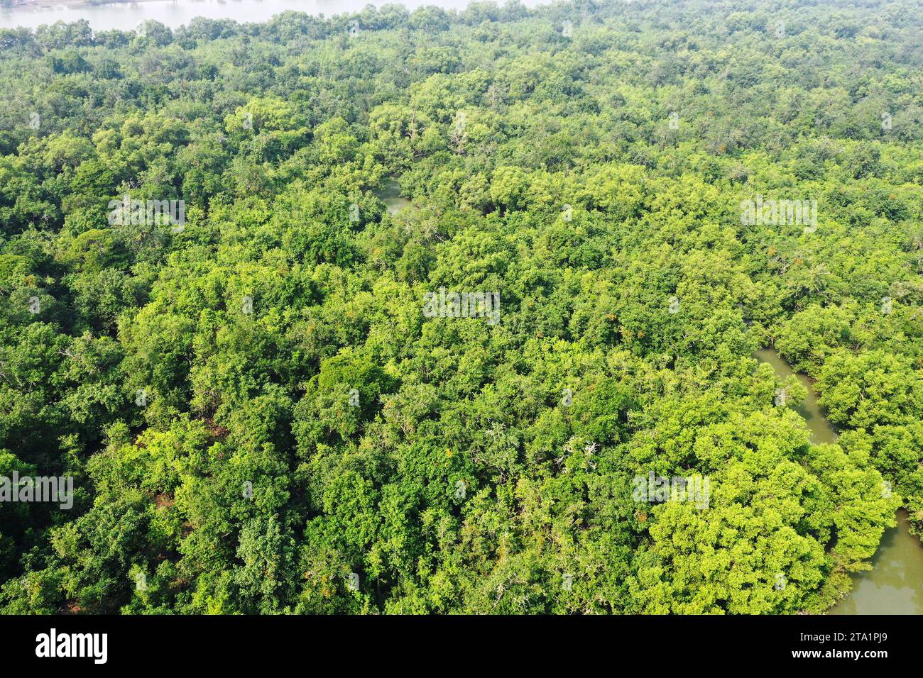 Khulna, Bangladesh - November 24, 2023: Aerial view of the Sundarban ...