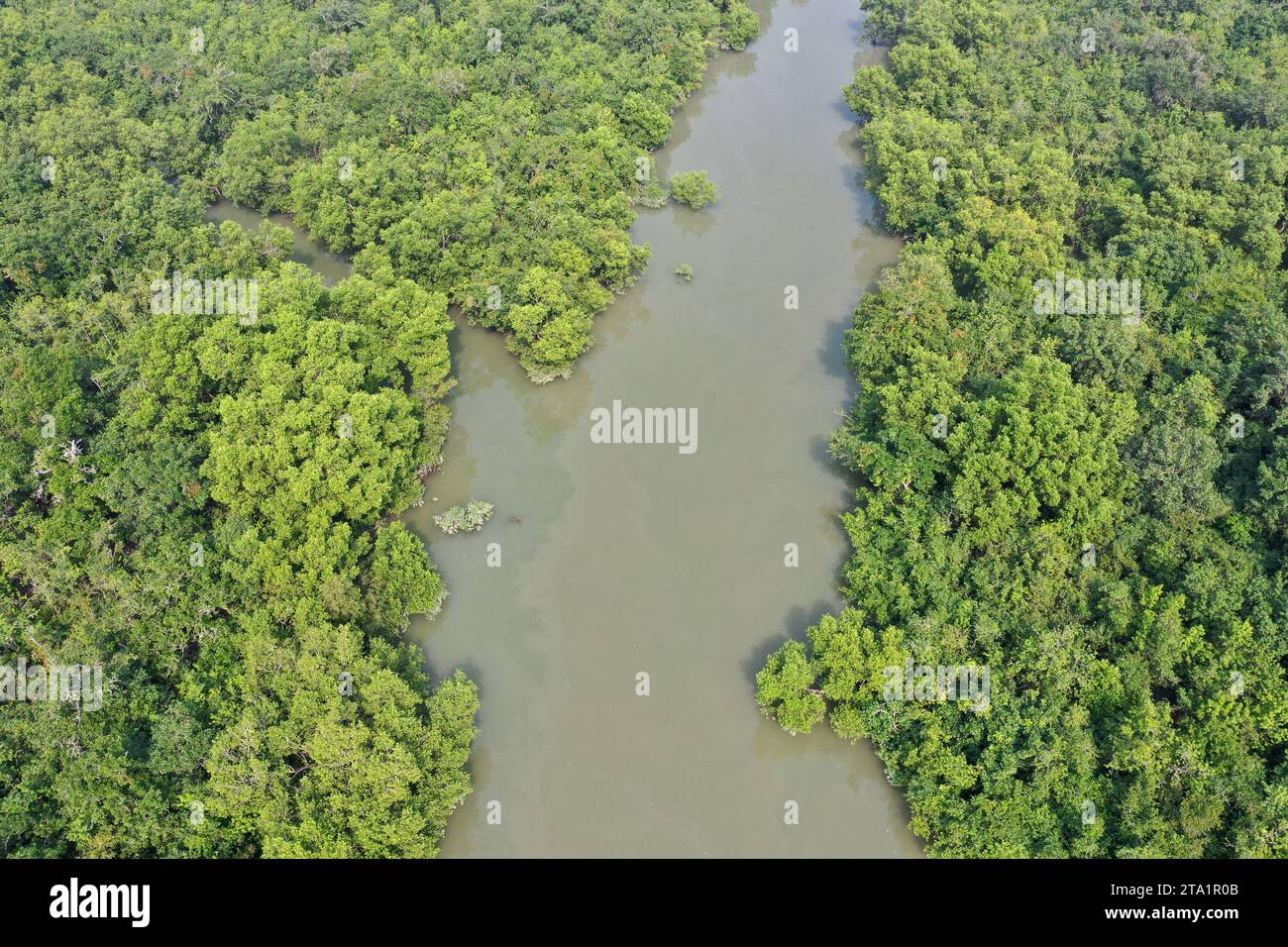 Khulna, Bangladesh - November 24, 2023: Aerial view of the Sundarban ...