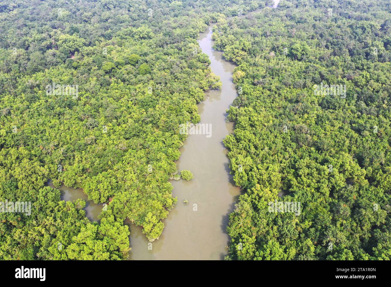 Khulna, Bangladesh - November 24, 2023: Aerial view of the Sundarban ...