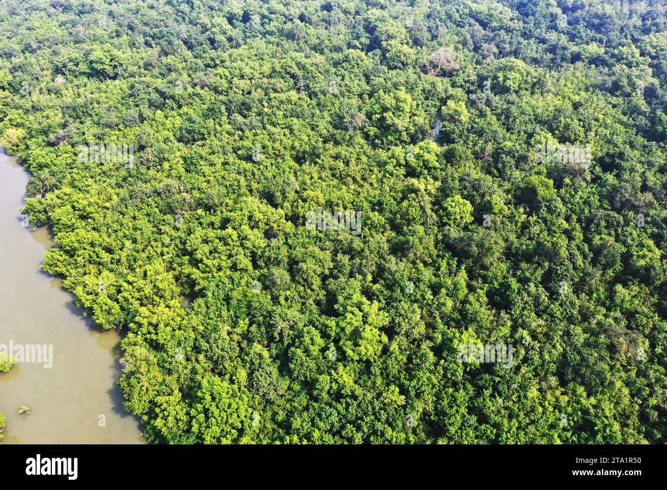 Khulna, Bangladesh - November 24, 2023: Aerial view of the Sundarban ...