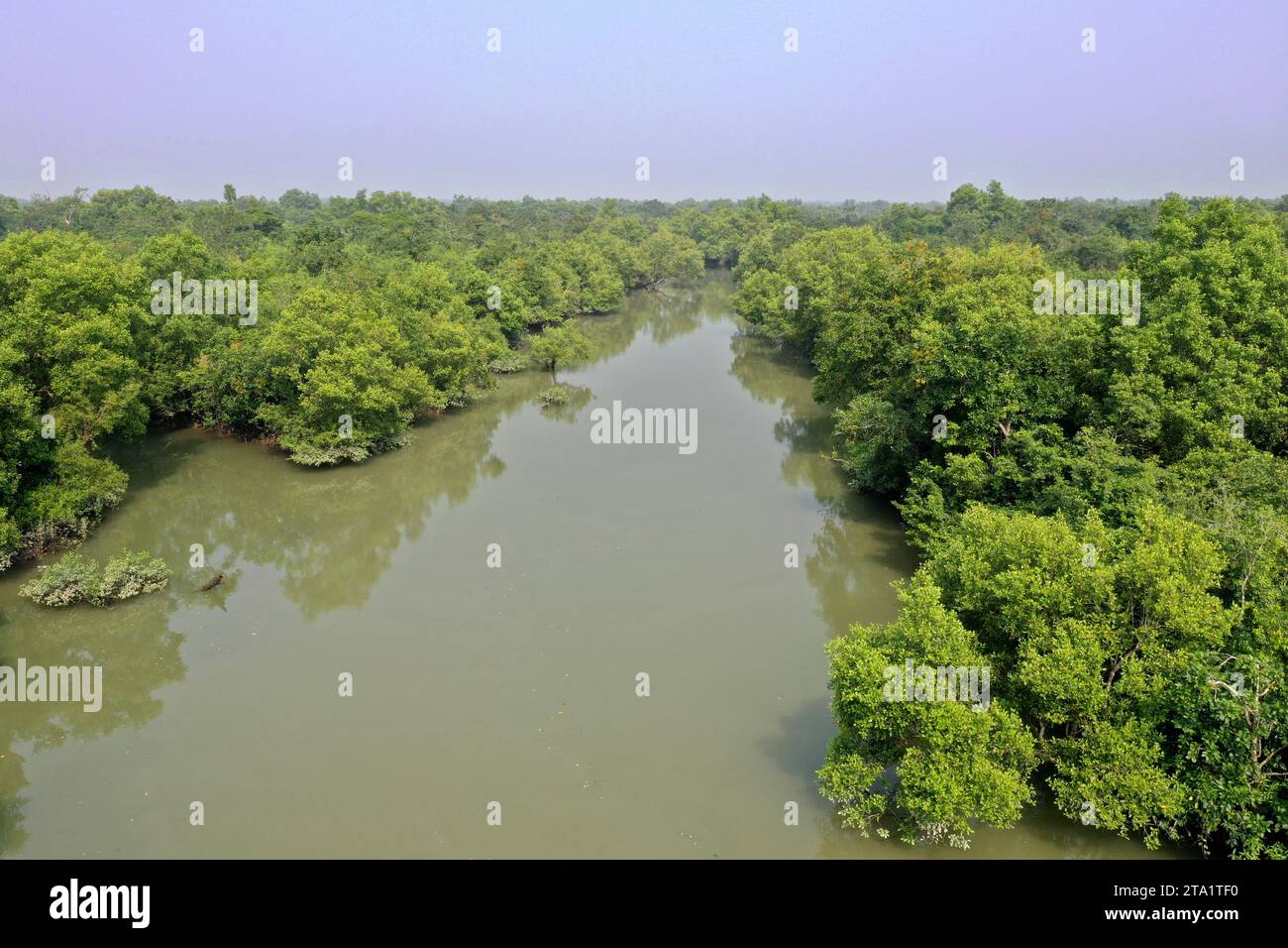 Sundarban top view hi-res stock photography and images - Alamy