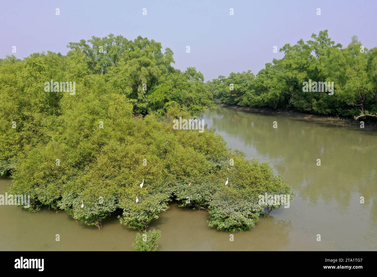Khulna, Bangladesh - November 24, 2023: Aerial view of the Sundarban ...