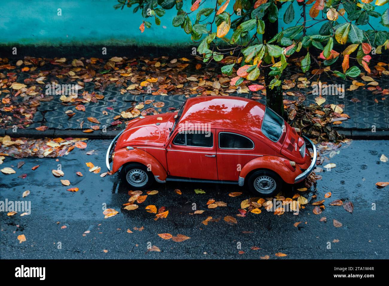 Old red Volkswagen Beetle parked on the street on a rainy autumn day ...