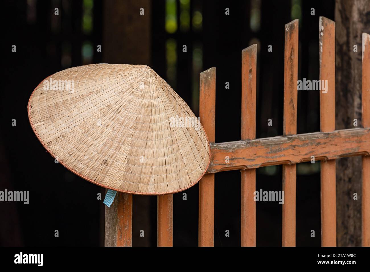 Traditional female vietnamese costume hi-res stock photography and images - Alamy