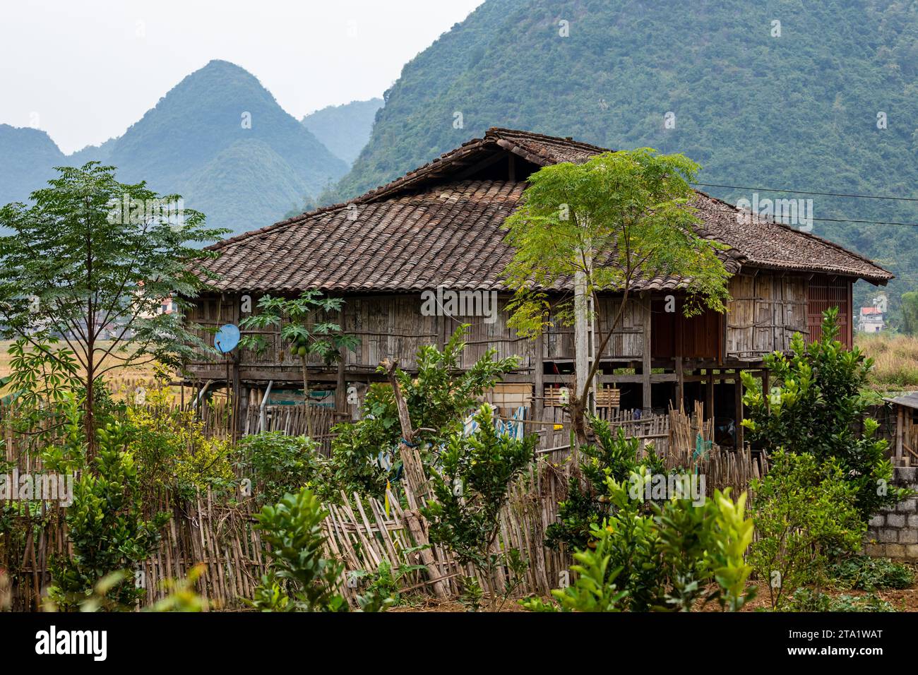 Farmhouse with rice field in the Bac Son Valley Vietnam Stock Photo - Alamy