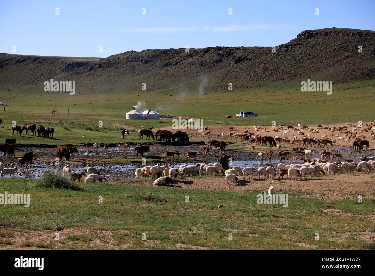 Characteristically characteristic hi-res stock photography and images - Alamy