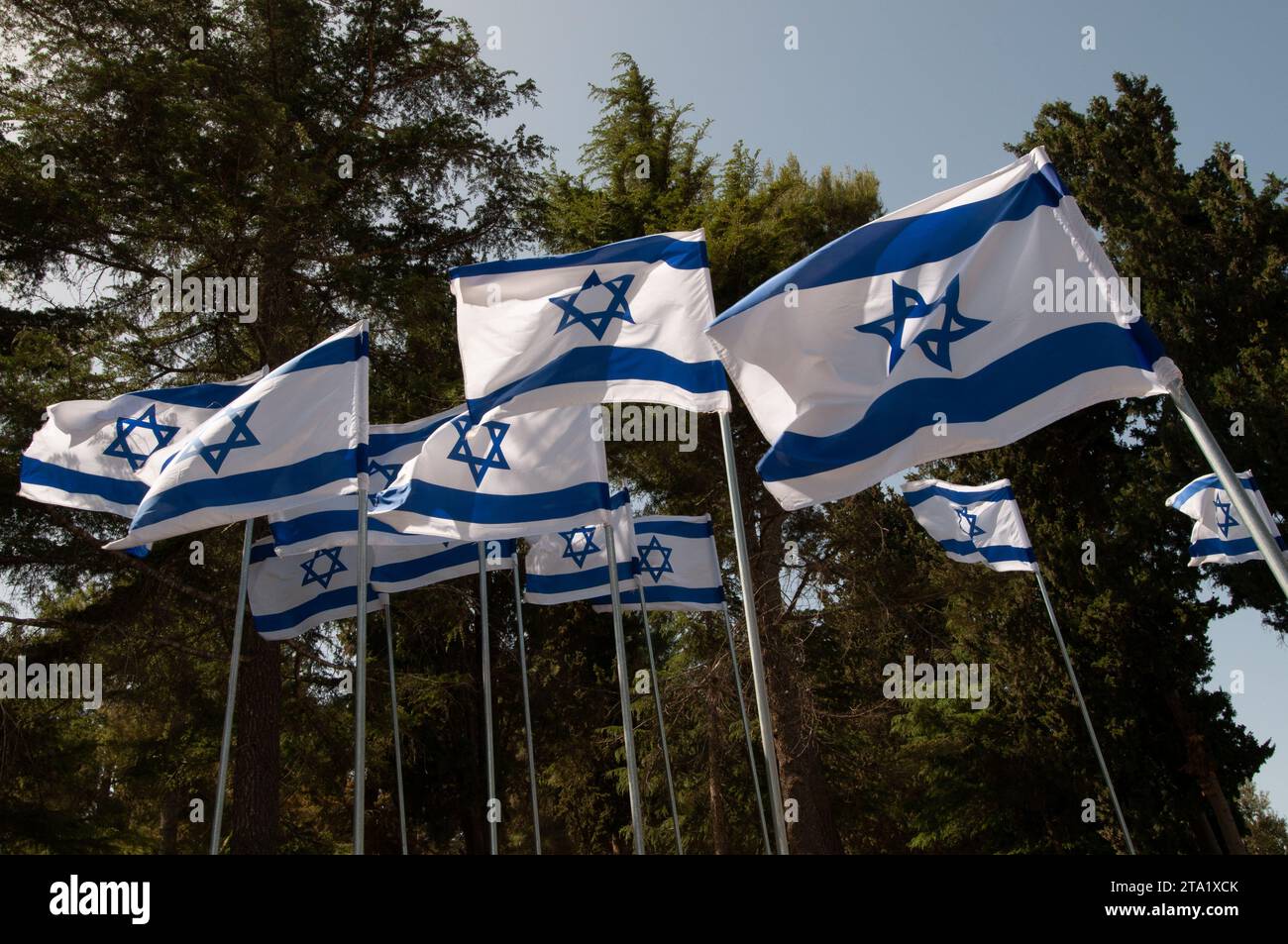 Multiple, large, blue and white flags of the State of Israel rippling ...