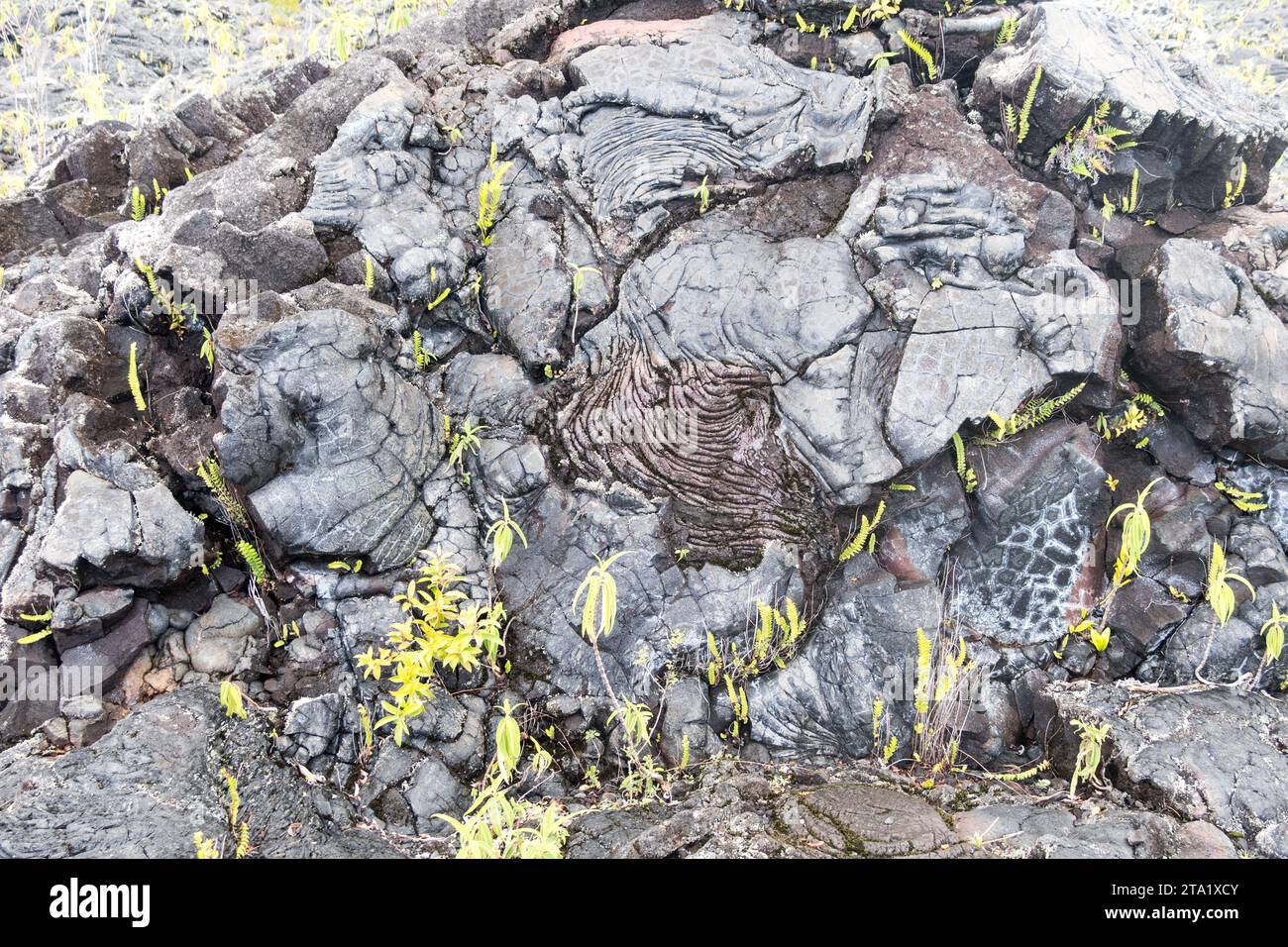 Route des laves hi-res stock photography and images - Alamy