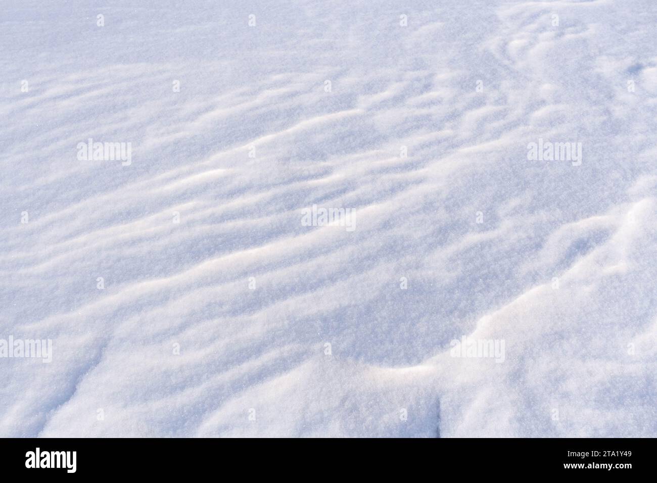Winter background with snowy ground. Natural snow texture. Wind ...