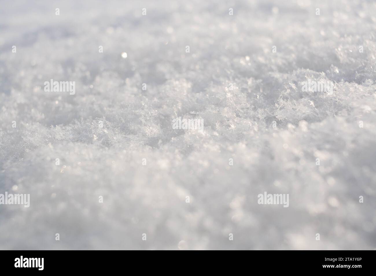 Winter background of snowy surface with melted snowflakes. Natural snow ...