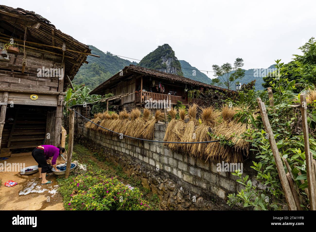 Old Farmhouse in the Bac son Valley in Vietnam Stock Photo - Alamy