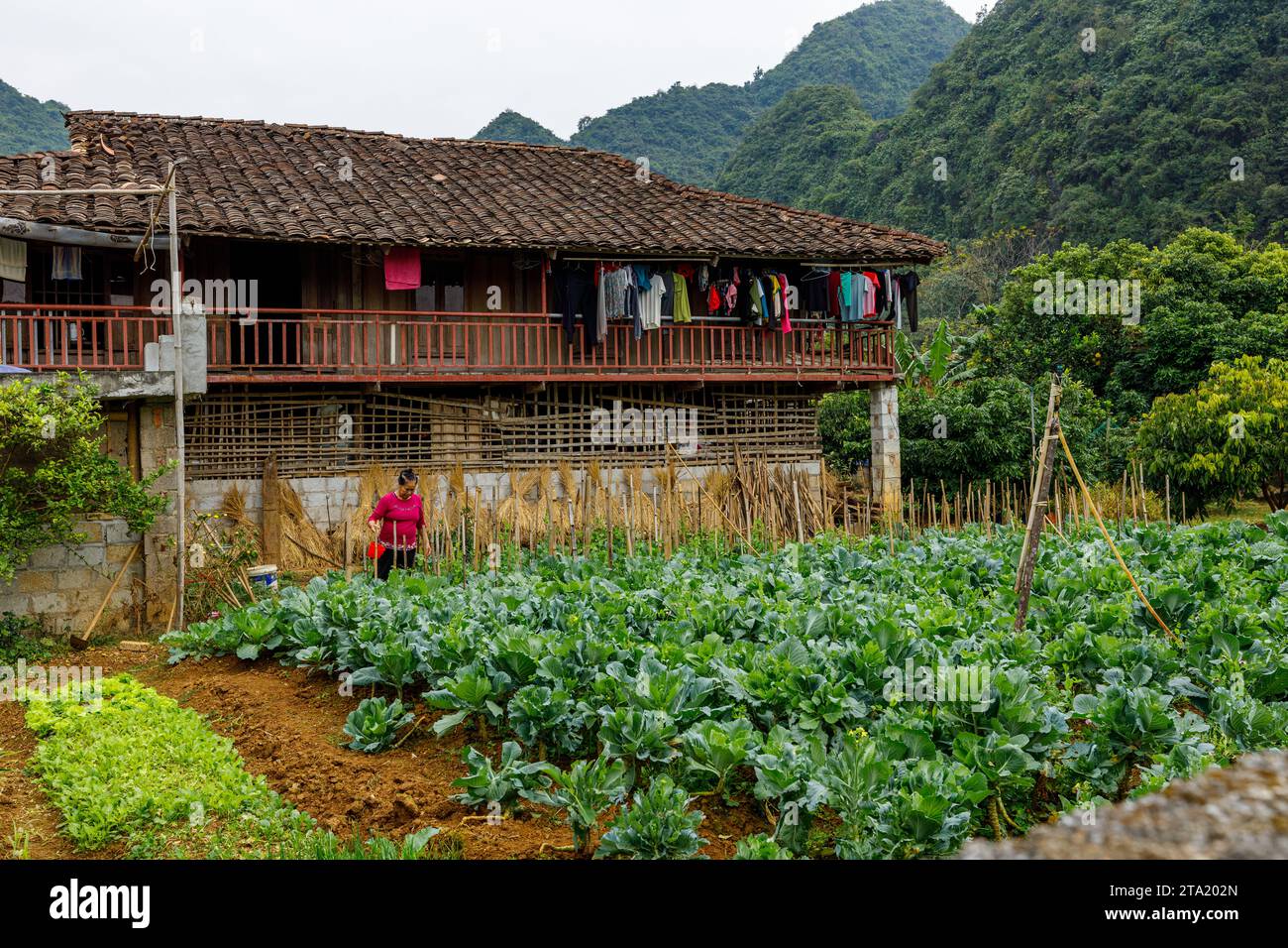 Old Farmhouse in the Bac son Valley in Vietnam Stock Photo - Alamy