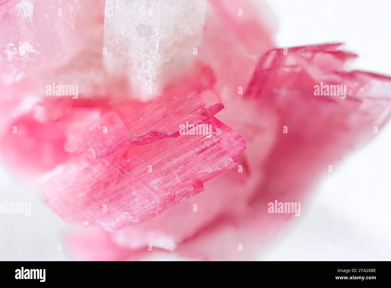 natural rubellite (pink tourmaline) mineral cristals on white ...