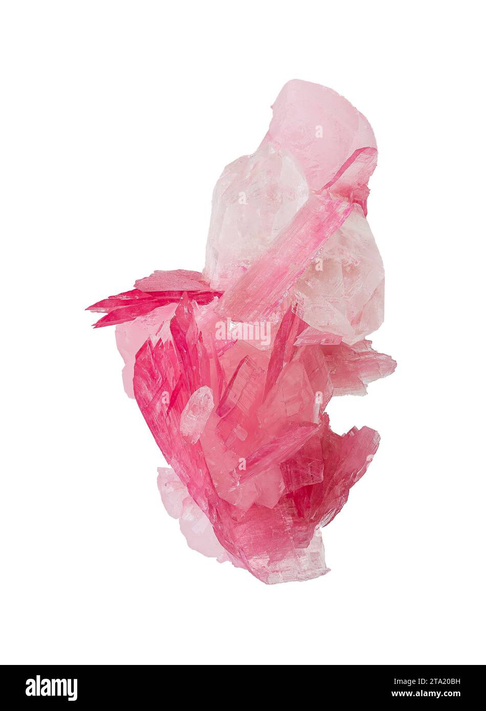 natural rubellite (pink tourmaline) mineral cristals on white ...