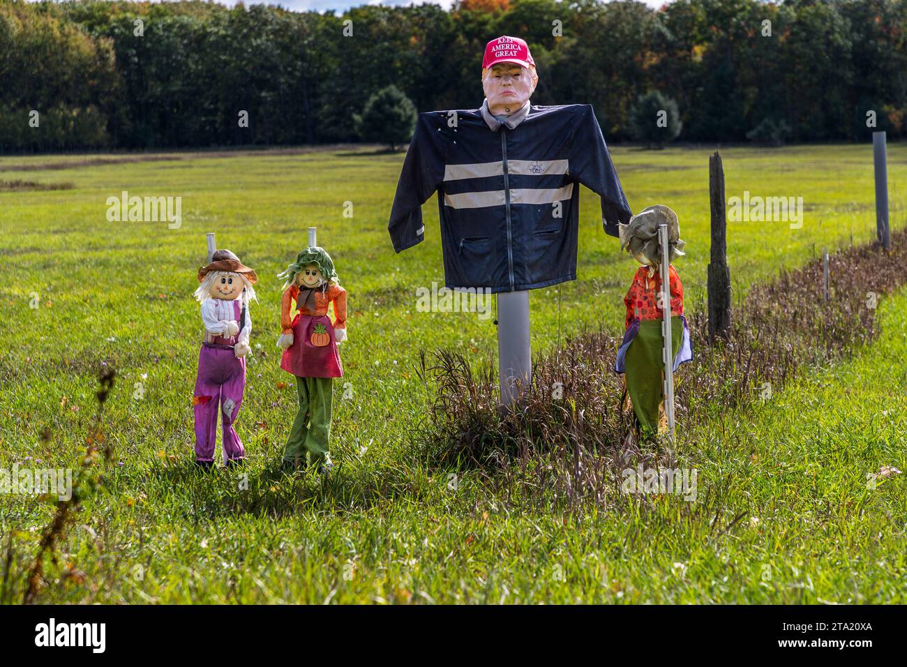 Trump supporters in rural Michigan put up an angry scarecrow. Cross ...