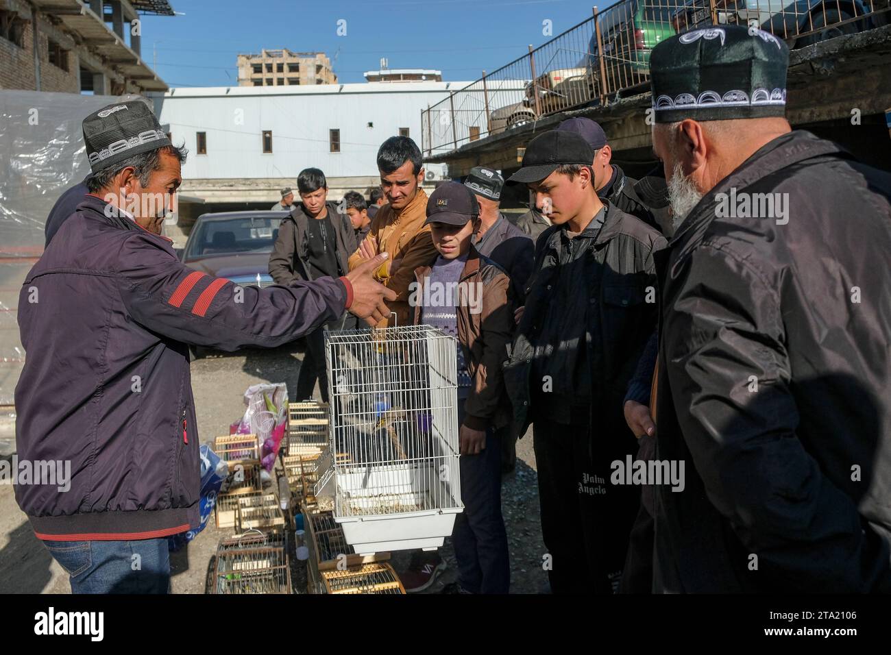 Tajikistan animals hi-res stock photography and images - Alamy