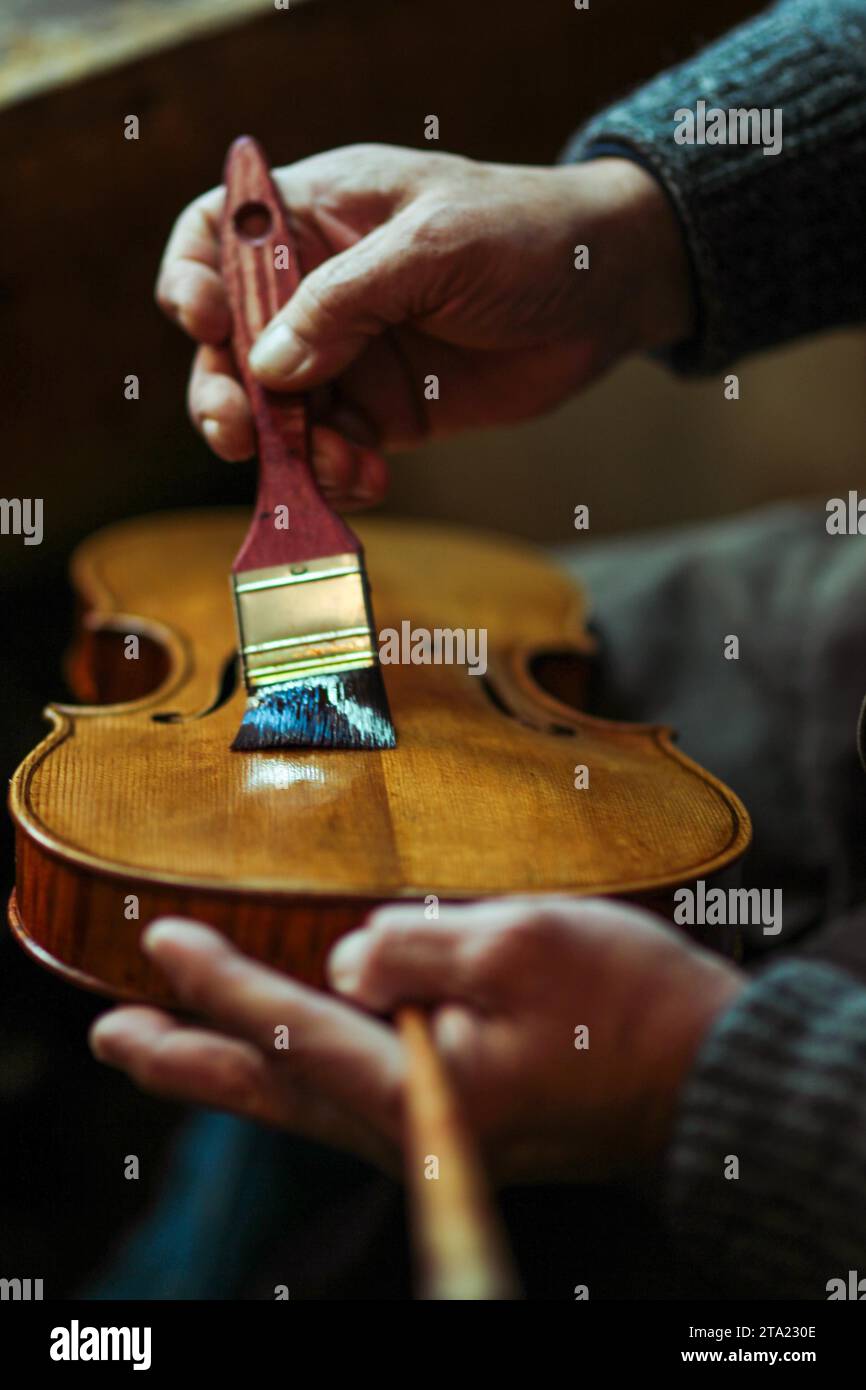 Senior expert violin maker luthier, wrinkled old hand varnish with ...