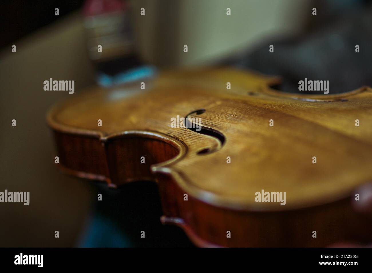 Senior expert violin maker luthier, wrinkled old hand varnish with ...