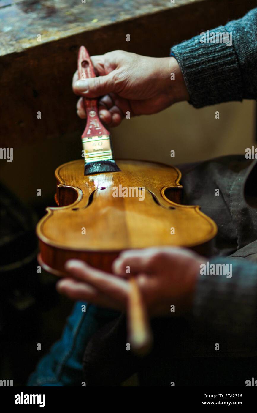 Senior expert violin maker luthier, wrinkled old hand varnish with ...