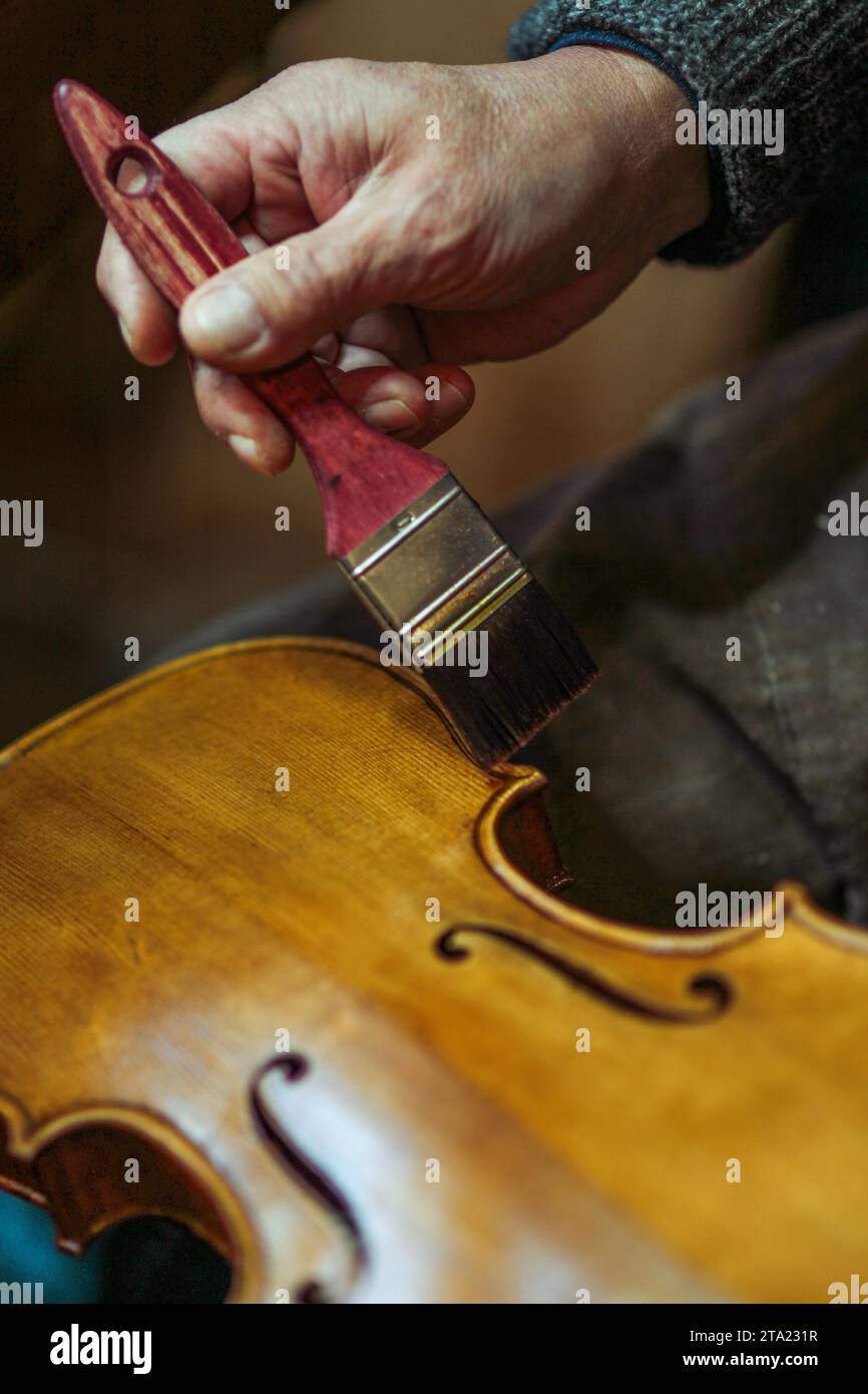Senior expert violin maker luthier, wrinkled old hand varnish with ...