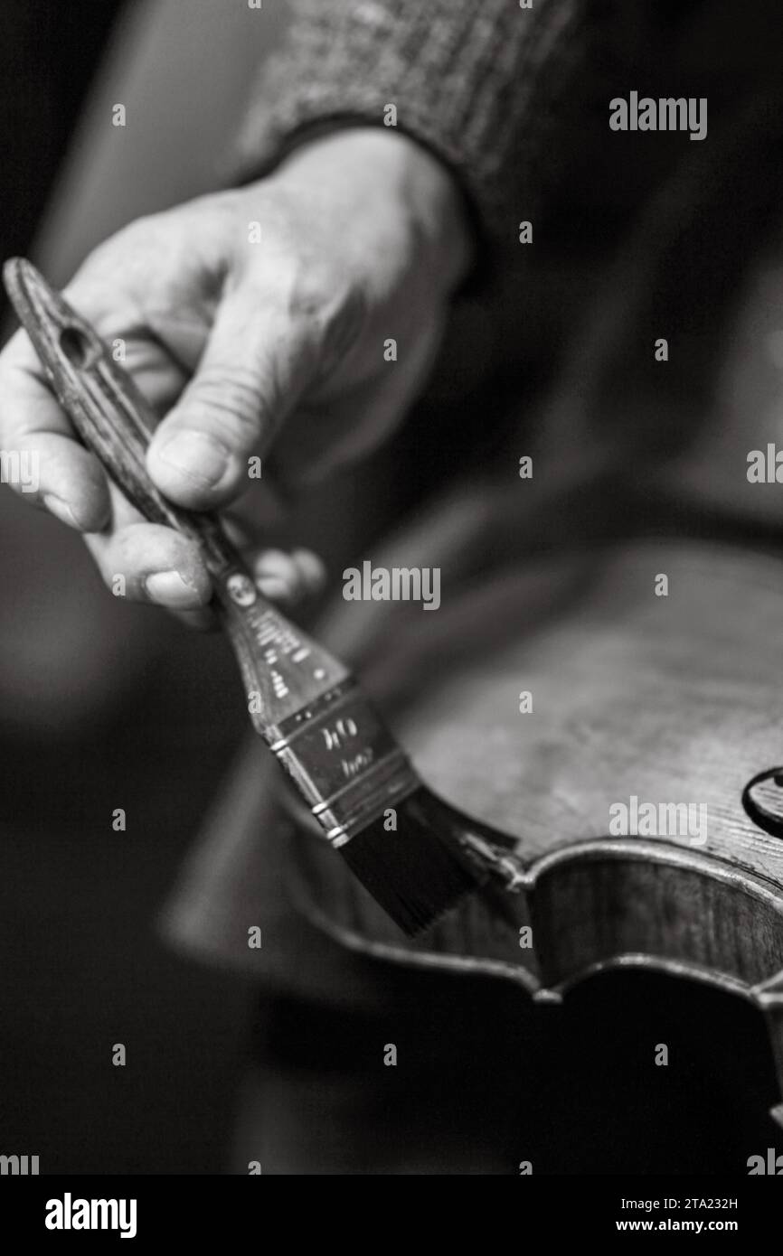 Senior expert violin maker luthier, wrinkled old hand varnish with ...