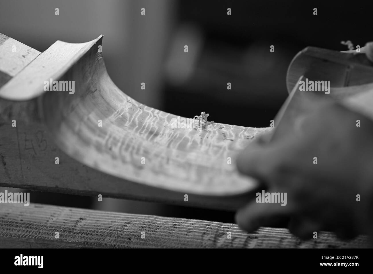 Luthier artisan violin maker carve sculpt chisel ribs of a new ...