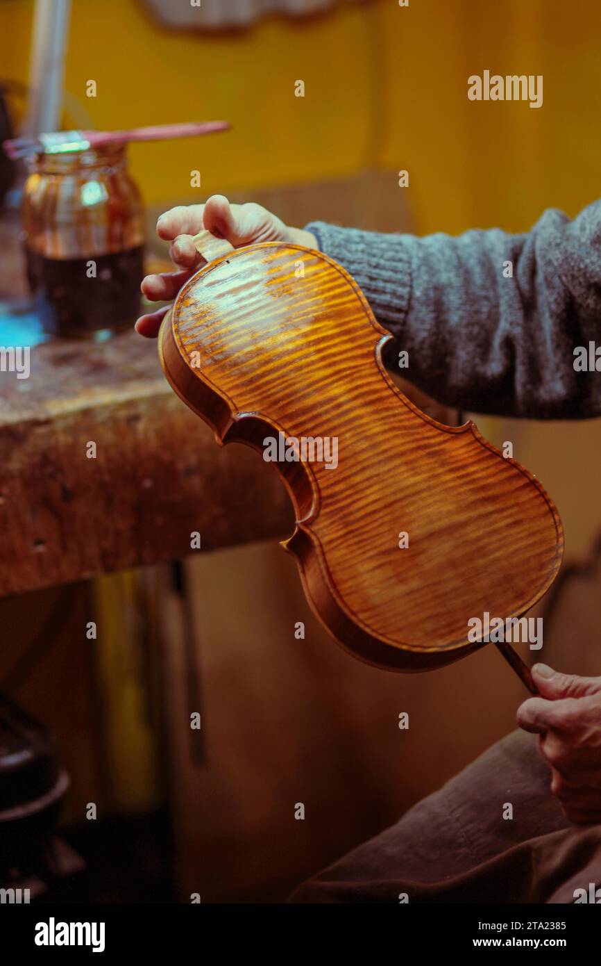 Senior expert violin maker luthier, wrinkled old hand hold check ...