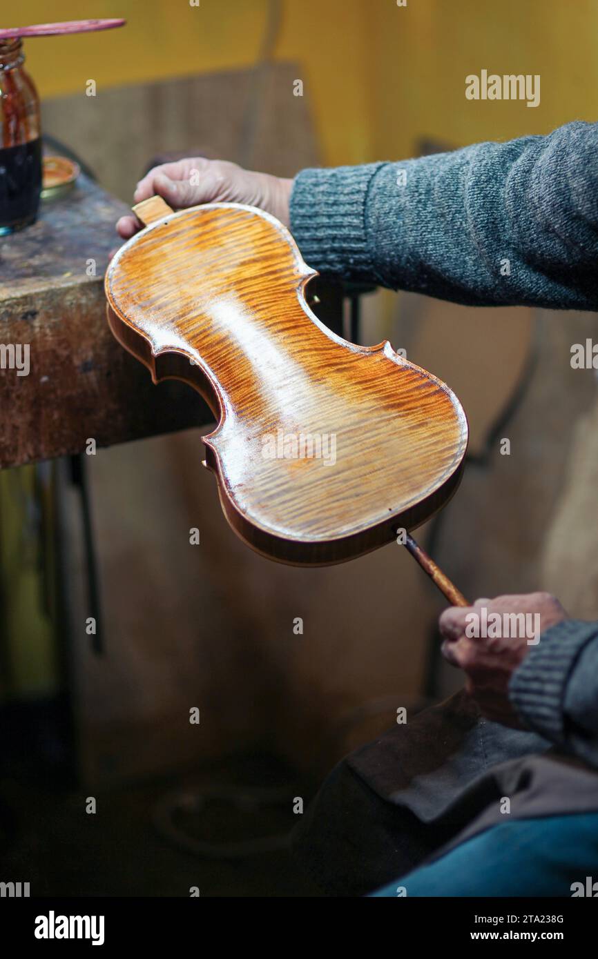 Senior expert violin maker luthier, wrinkled old hand hold check ...