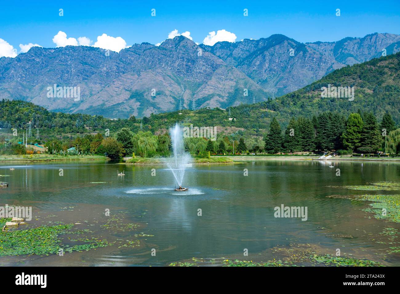 Jawaharlal Nehru Memorial Botanical Gardens in Srinagar, Jammu Kashmir ...