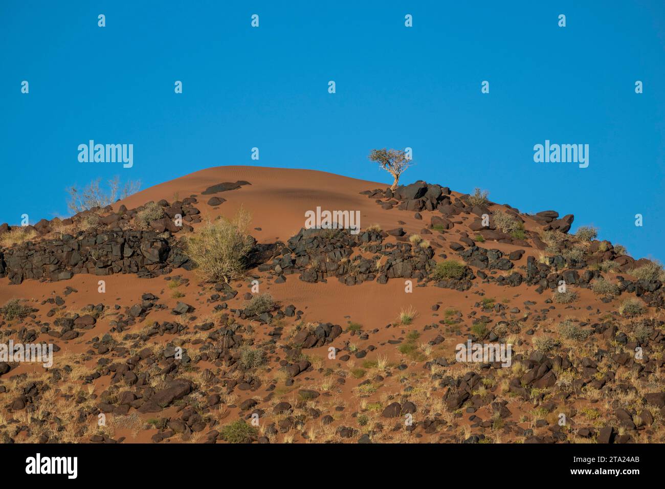 Overgrown and rocky dune, Namib Desert from Naankuse Lodge, Namib ...