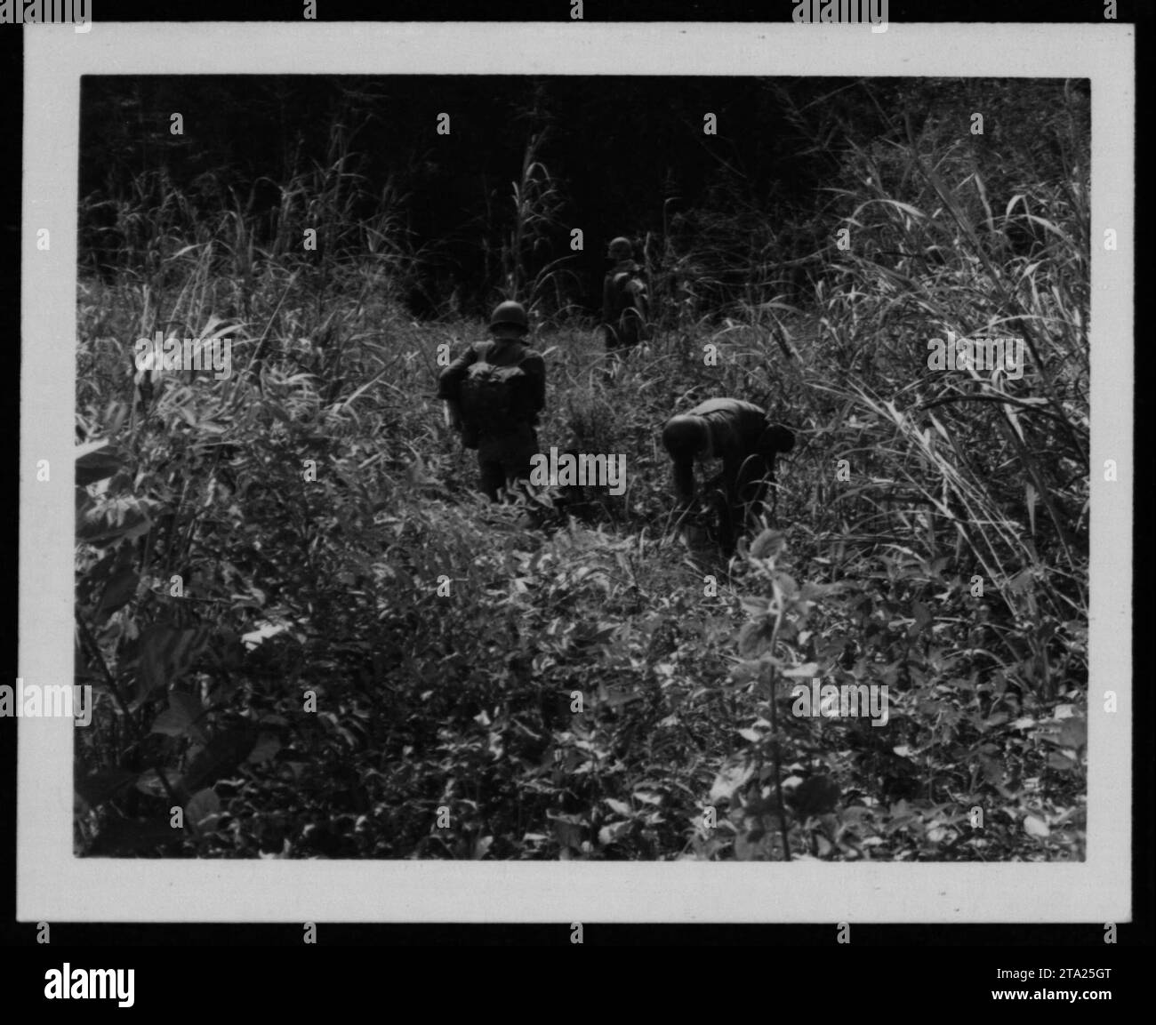 28 november 1963 hi-res stock photography and images - Alamy