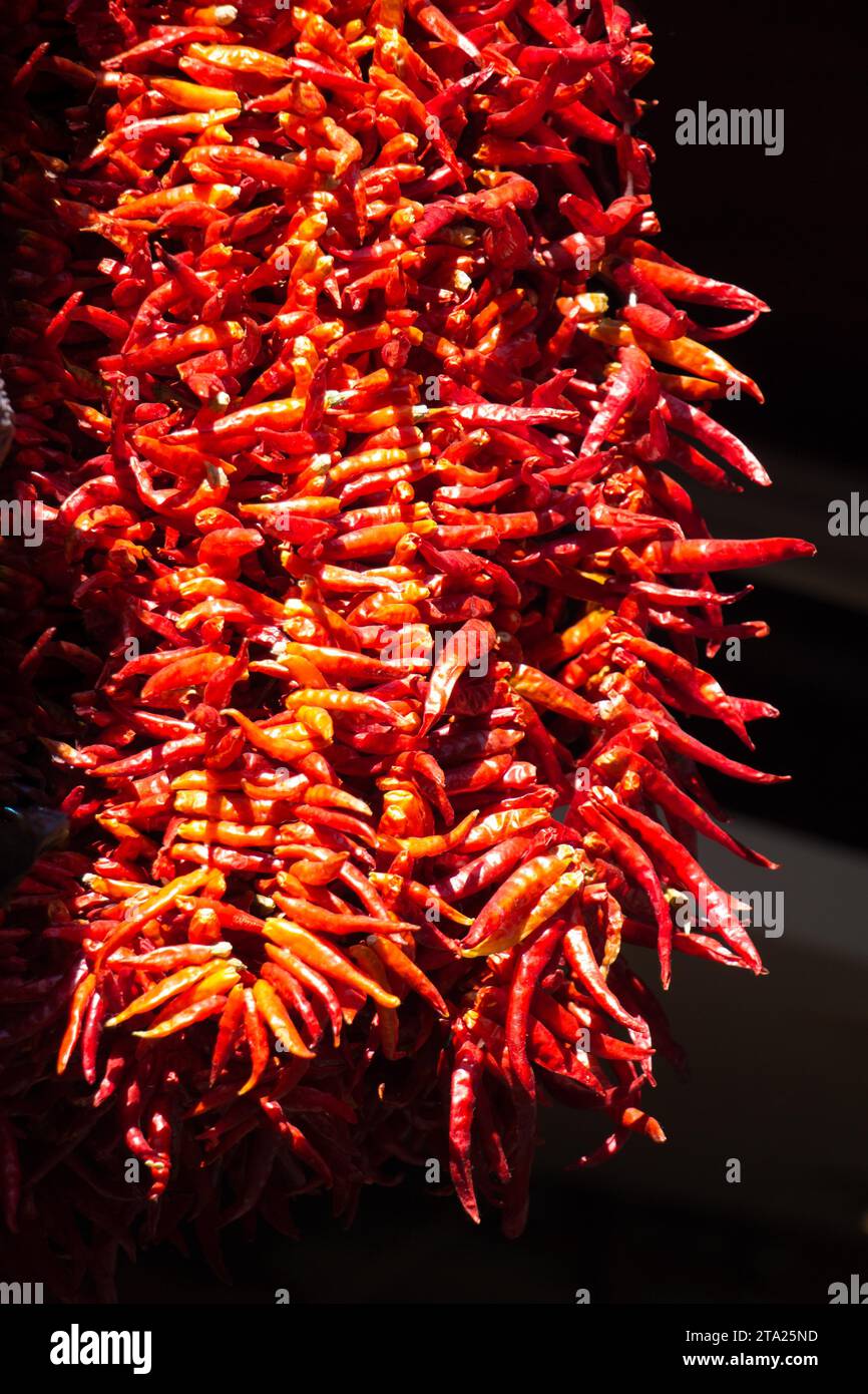 Bundles of red peppers dry in the sun Stock Photo - Alamy