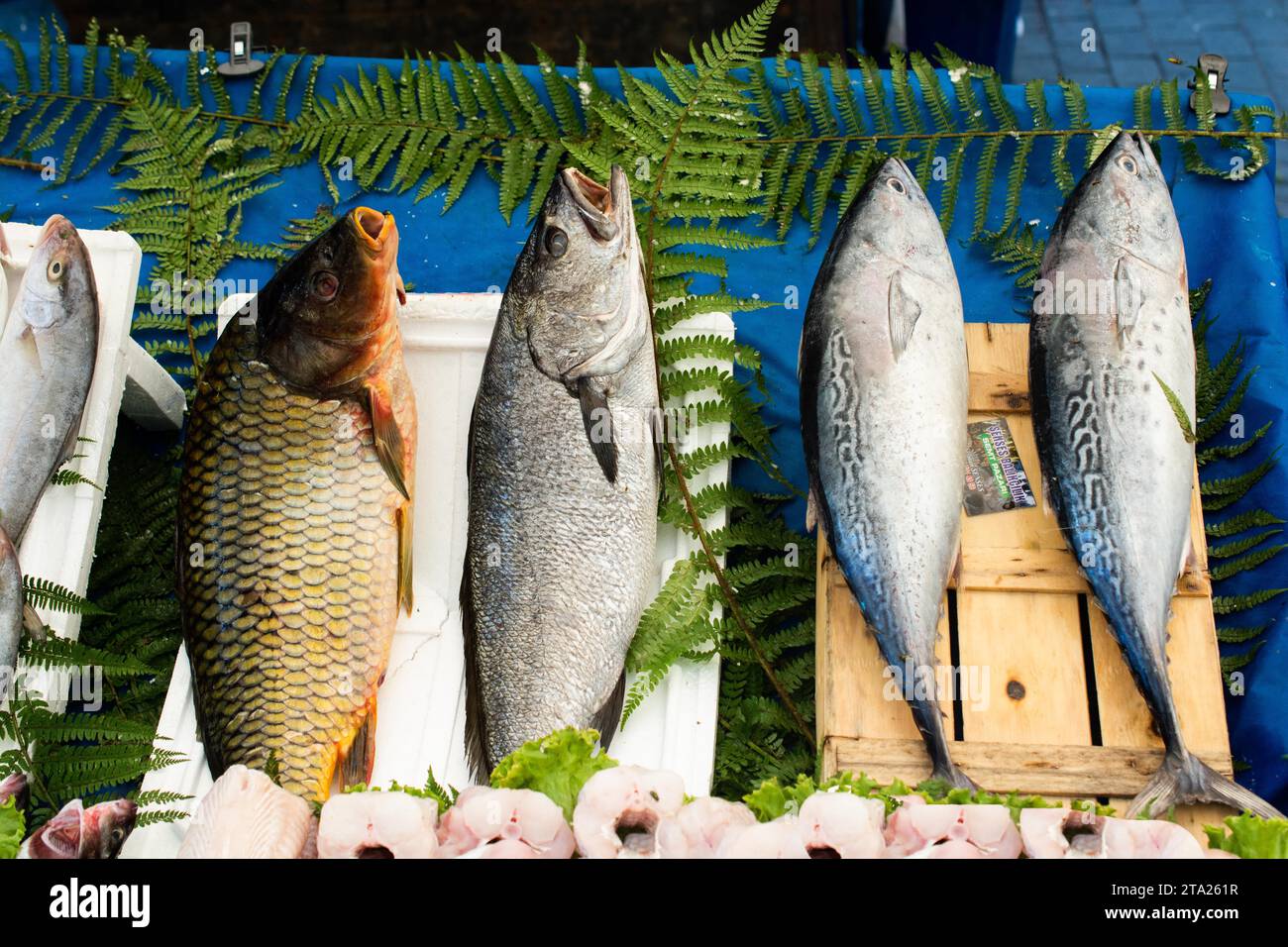 Fresh fish as sea food for sale at a fish market Stock Photo - Alamy