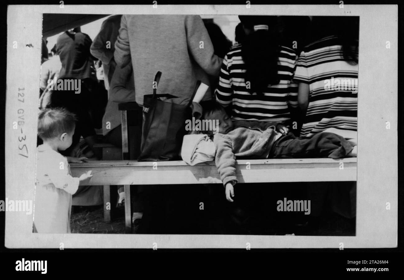 Claudia cardinale photographs hi-res stock photography and images - Alamy