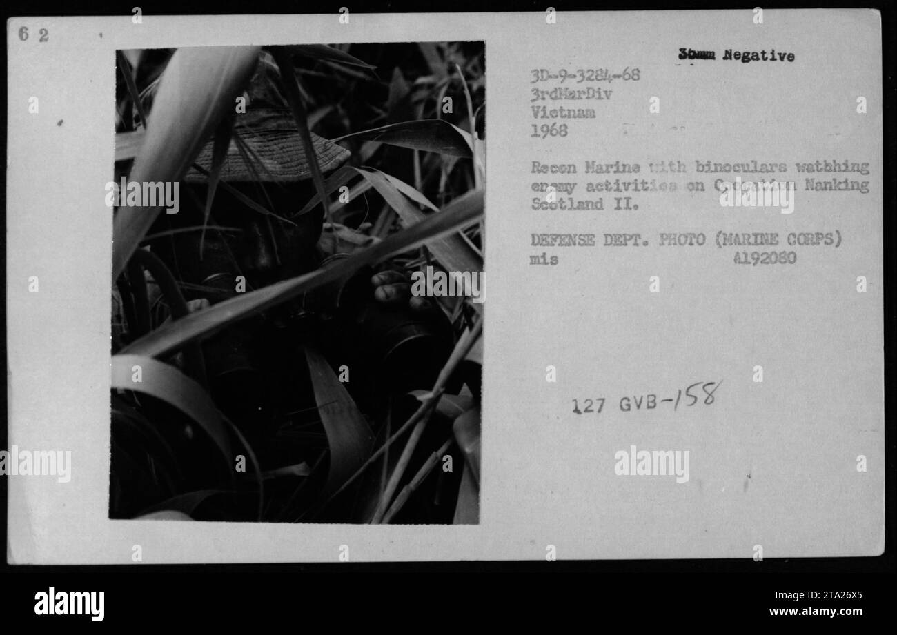 A recon marine from the 3rd Marine Division in Vietnam, 1968, is seen ...