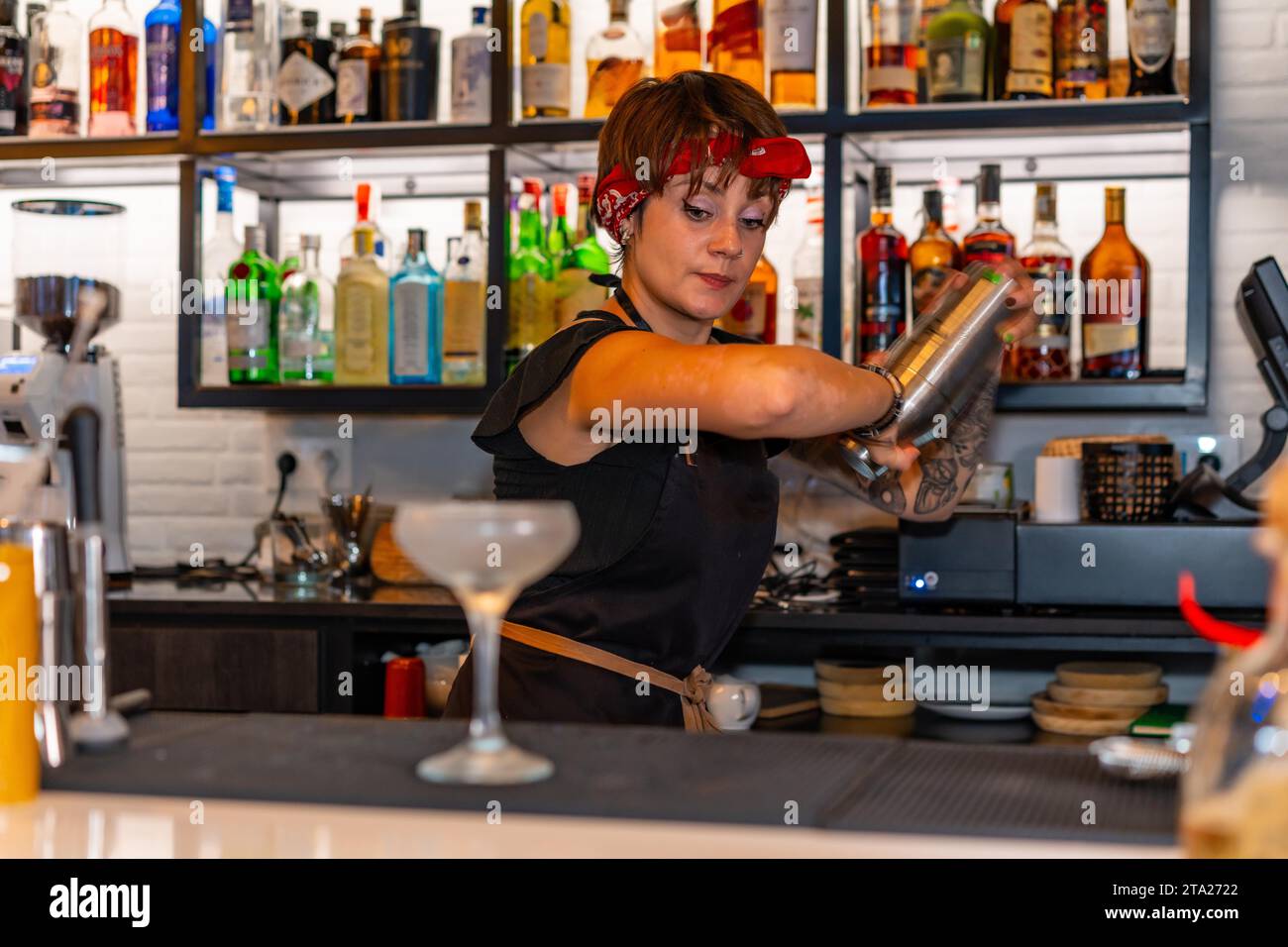 Bartender shaking cocktail shaker hi-res stock photography and images ...